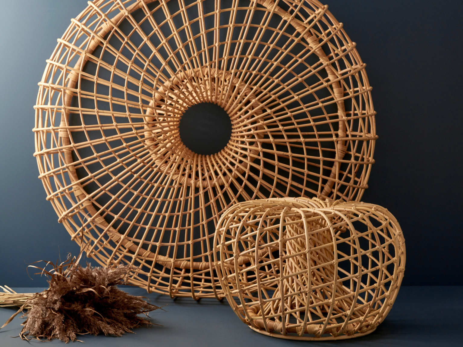 What Is Rattan? A Deep Dive Into the Vine That Shaped Global Design ...